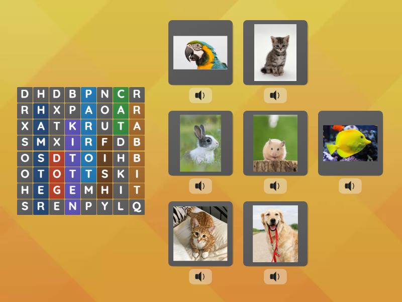 Animals - Pets - Hledání slov