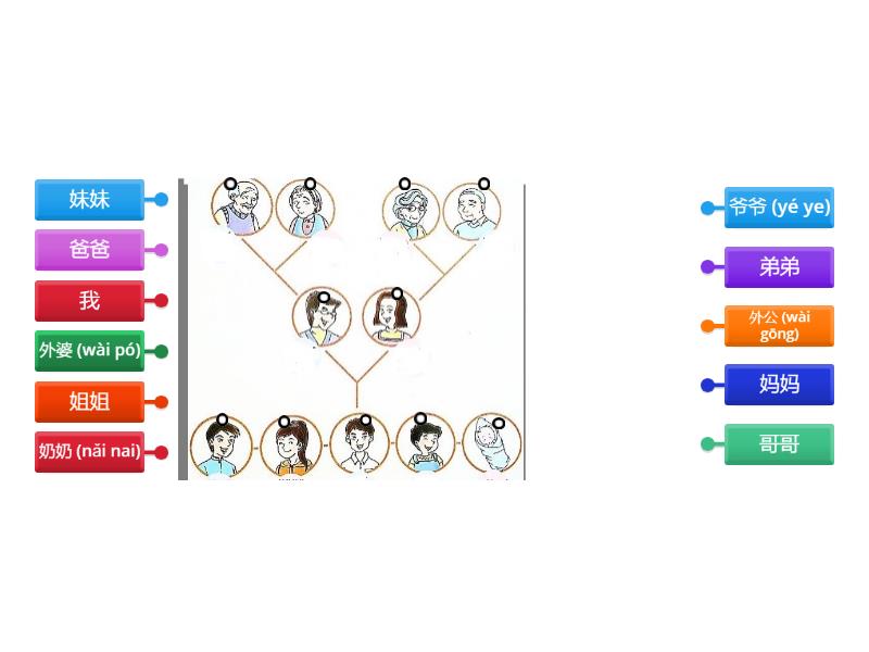 grade4-lesson 4-family tree - Labelled diagram