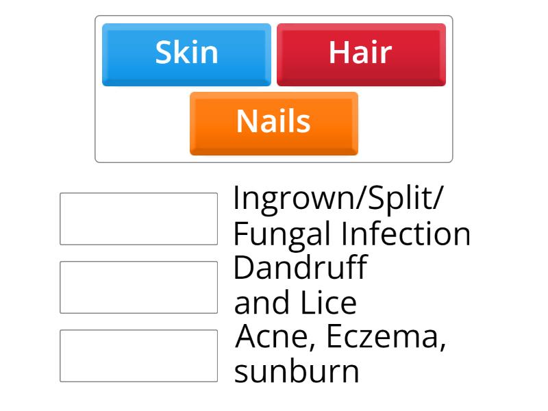 Personal Hygiene Quiz - Match up