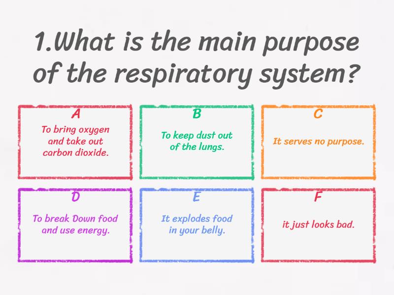 The respiratory system!!! - Quiz