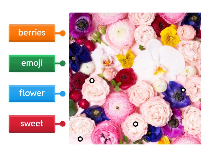 flower - Labelled diagram