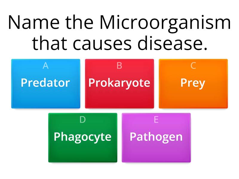 Microbes and the Immune System - Quiz