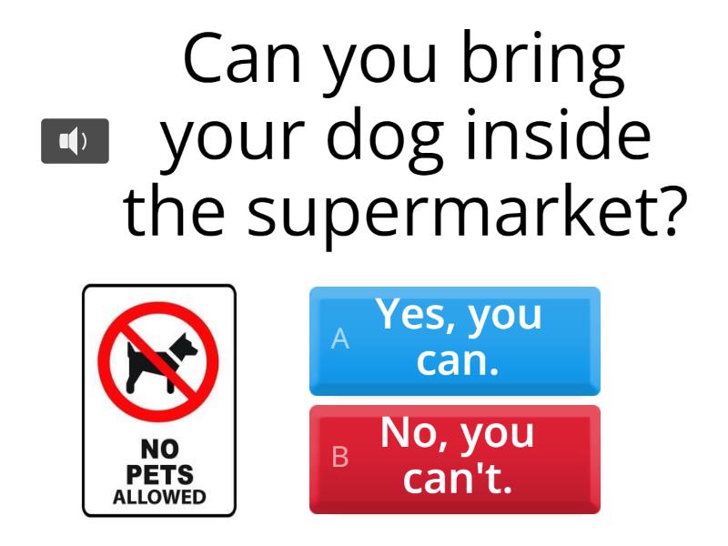 ESOL E2 Can and Can't for Rules - Quiz