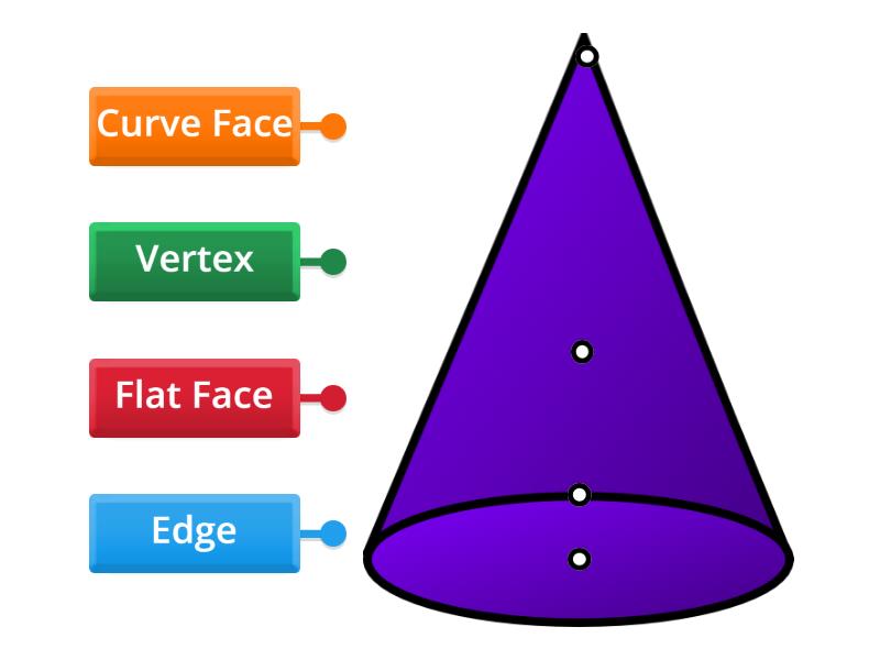 Label the cone with its correct properties. - Labelled diagram