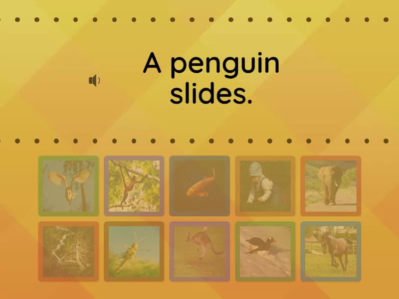 How Animals Move - Find the match