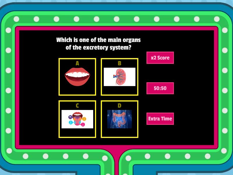 EXCRETORY SYSTEM - Gameshow quiz
