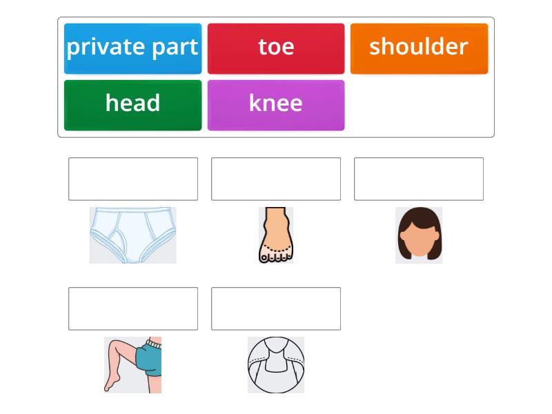 body parts - Match up