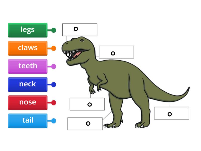 Unit 1: Body parts of dinosaurs - Diagrama con etiquetas