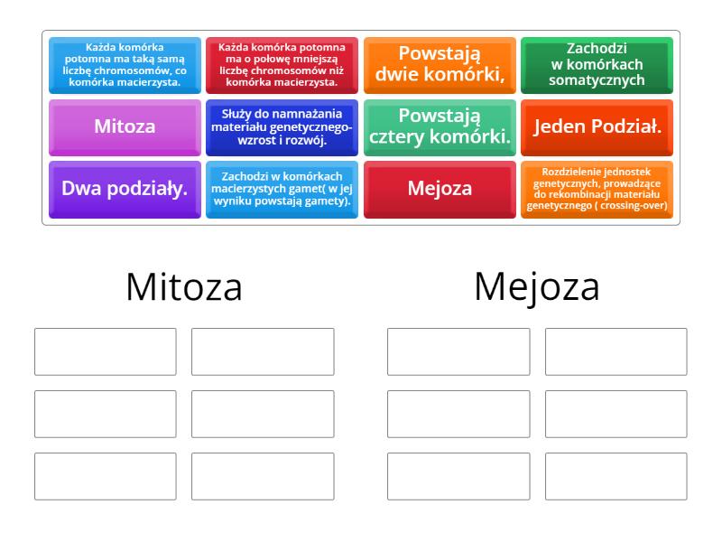 Mitoza a mejoza - Group sort