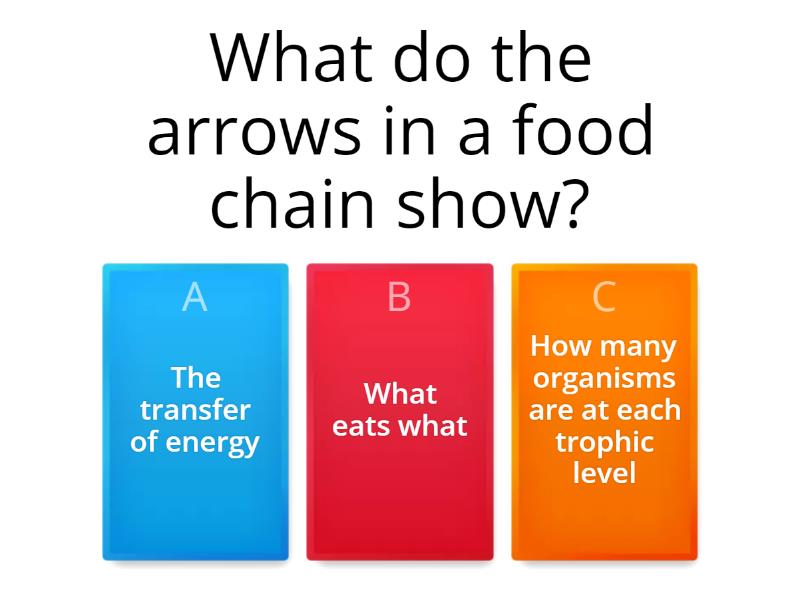 Food Chains - Quiz