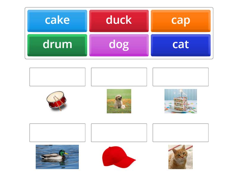 Homework - Match up