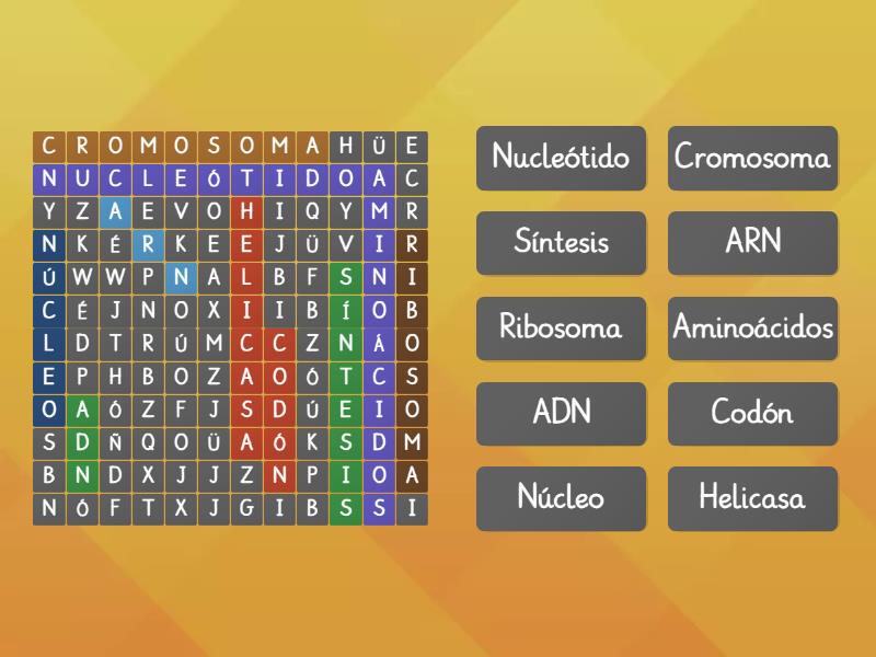 sobre sintesis de proteínas. Por: Arquímedes Bello - Sopa de letras