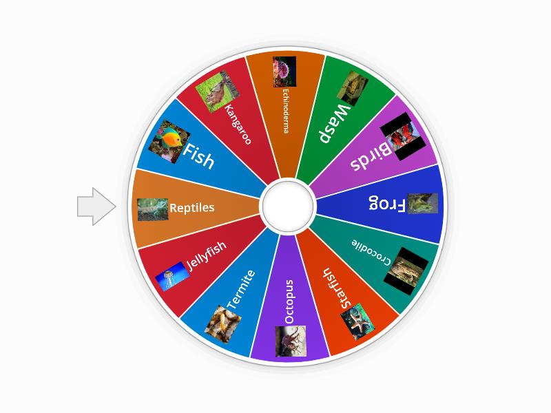 Vertebrates and Invertebrates - Spin the wheel