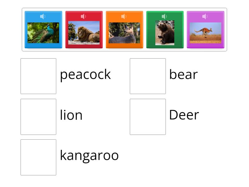 match the animals with their names - Match up