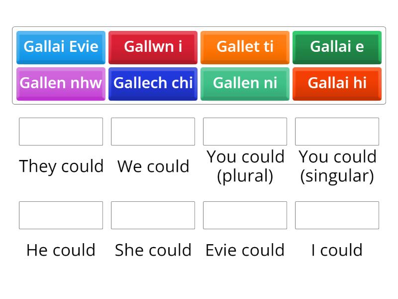 Gall - Could (stem) - Match up