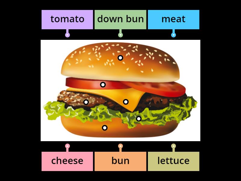 burger pats - Labelled diagram