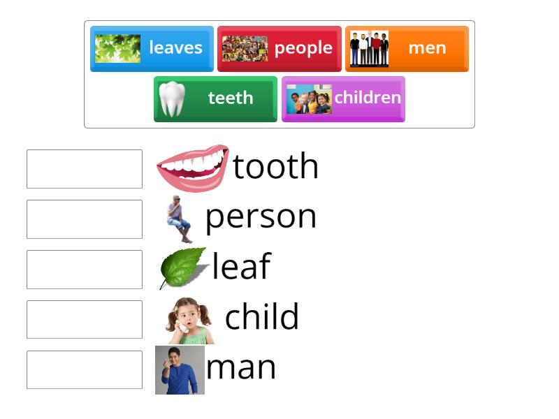 Nouns & Irregular Plural Nouns - Match up