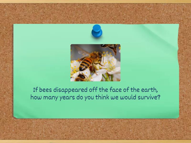 Bee question - Flash cards