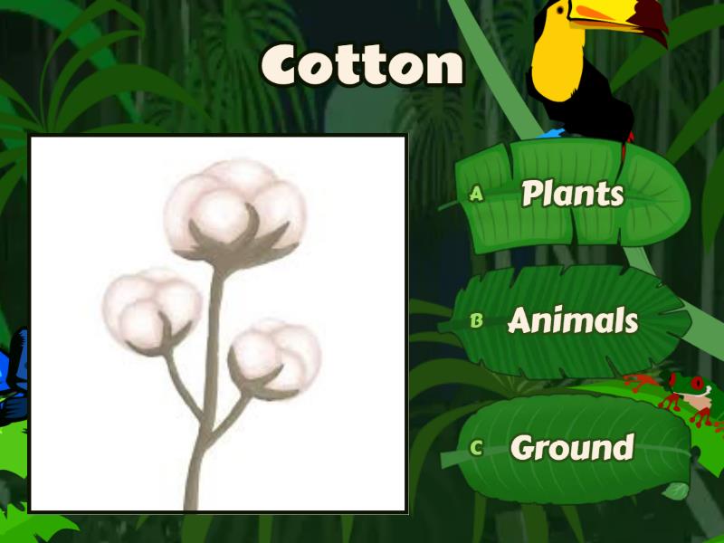 Materials all around us - Quiz