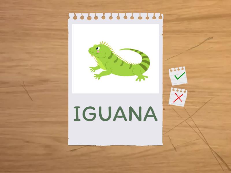 LAS VOCALES - Tarjetas flash