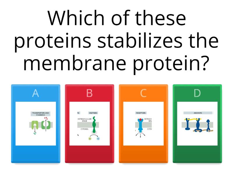 Membrane protein - Quiz