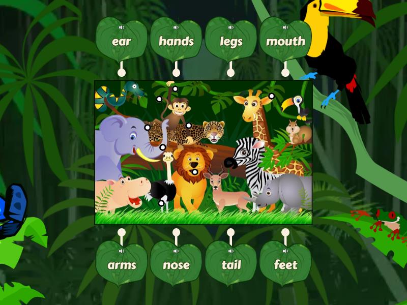 animal parts of body - Labelled diagram