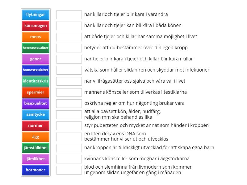 Pubertet och identitet - Match up