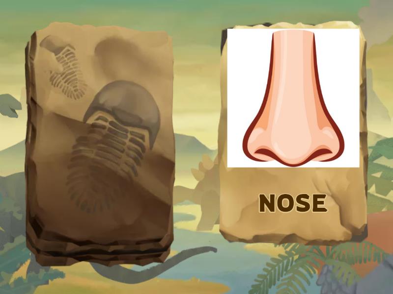 2nd - Face - Memory - Speaking cards