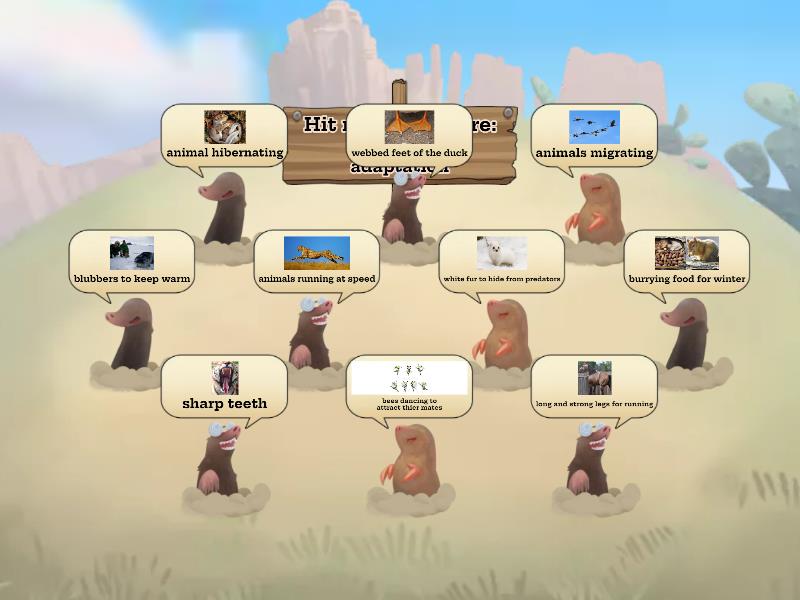 animal behavioral adaptation - Whack-a-mole