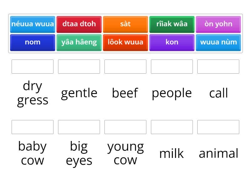 cow Reading Comprehension - Match up
