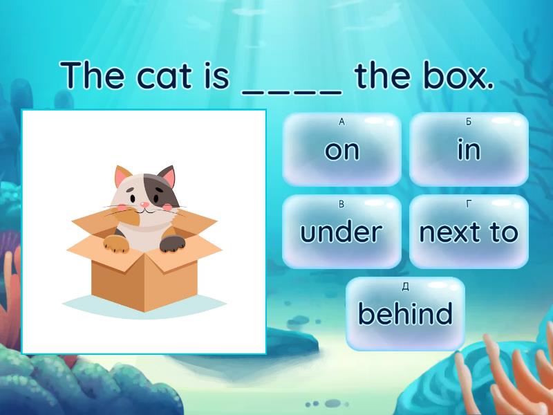 Prepositions of place | The cat & the box - Quiz