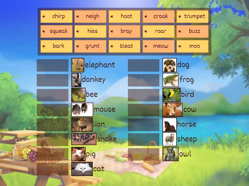 ANIMAL SOUNDS - Match up