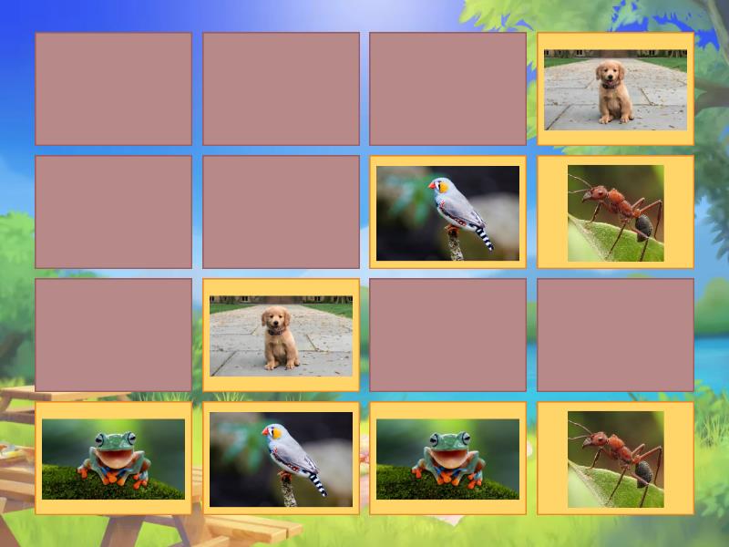 Find my MATCH - Matching pairs