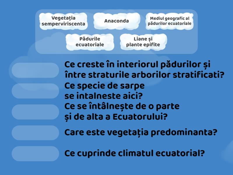 PADUREA ECUATORIALA - Match up