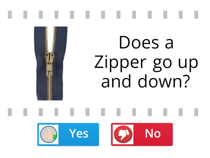 Object Yes/No Questions - True or false