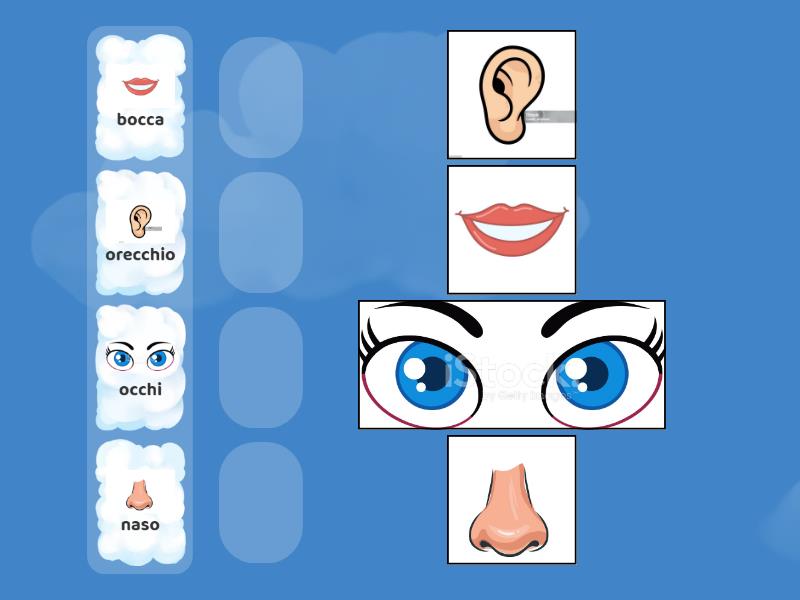 Scopriamo le parti del viso - Match up