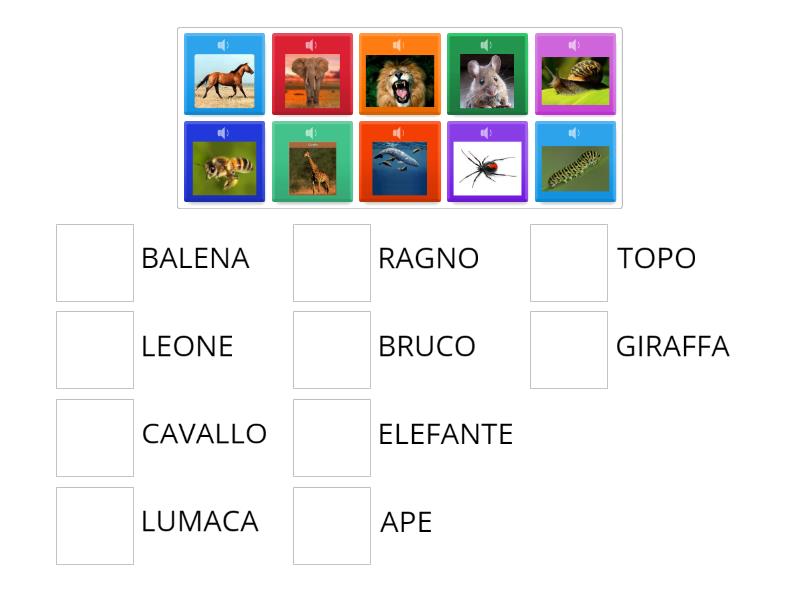 GLI ANIMALI - Match up