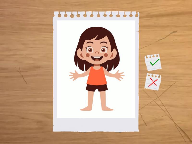 Body - Flash cards