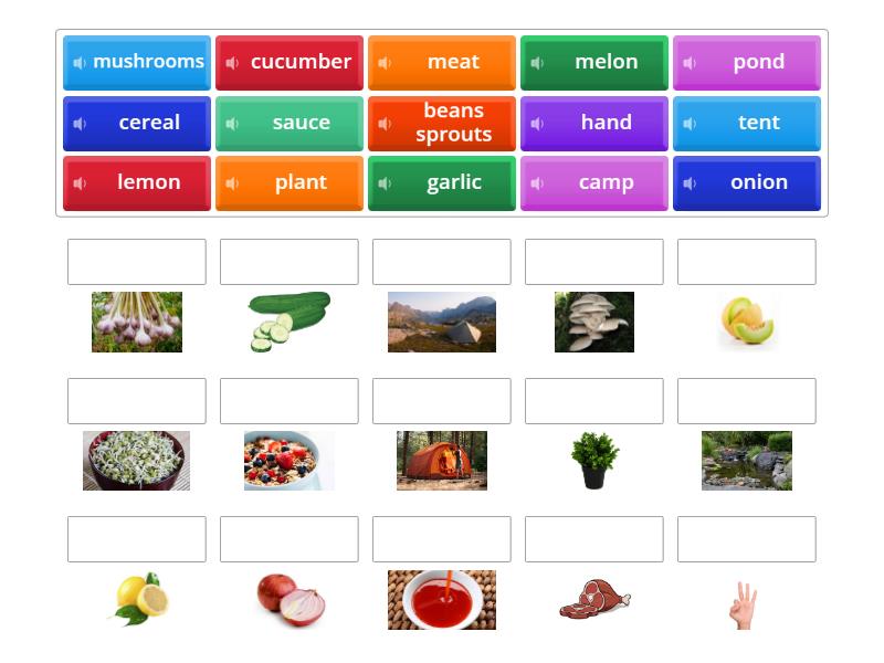 R5B1 unit 8 - Match up