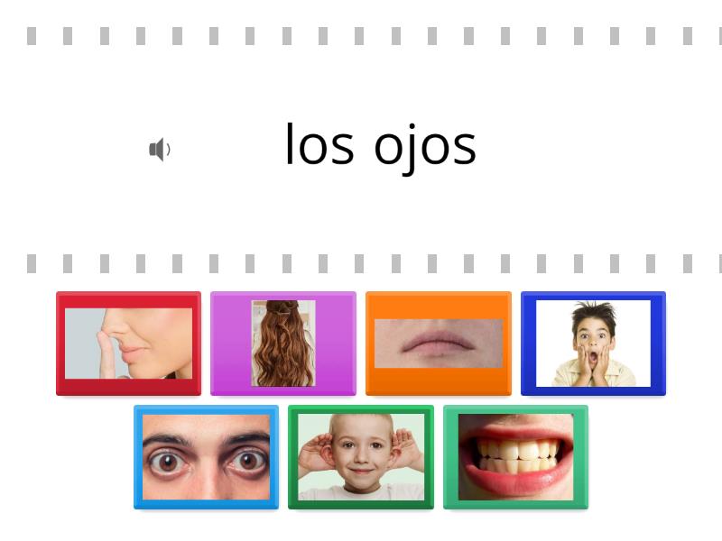 Las partes de la cara quiz K - Find the match
