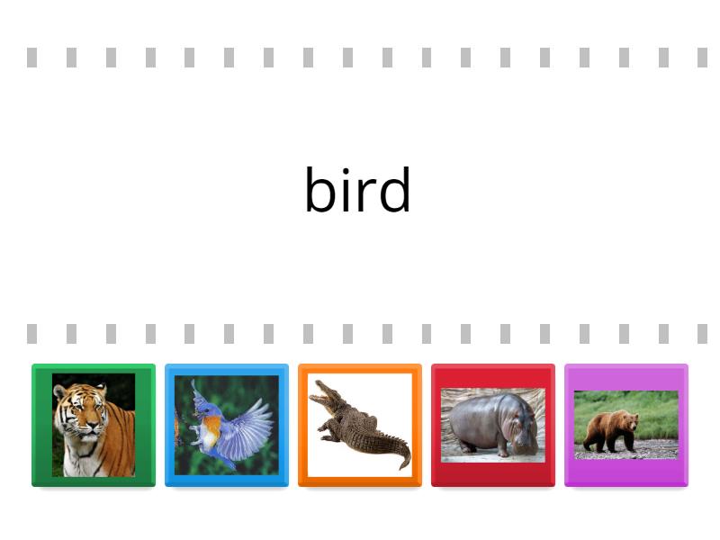 FF Starter Unit 6 Animals MR - Find the match