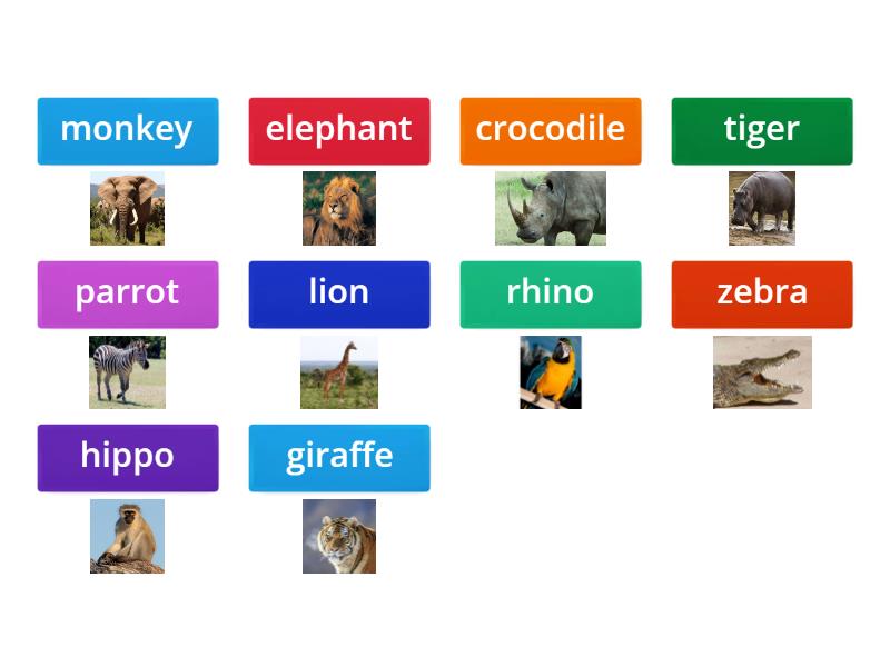 African Animals Pic and Word - Unscramble