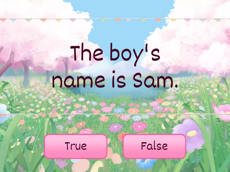 Reading comprehension - Verdadero o falso