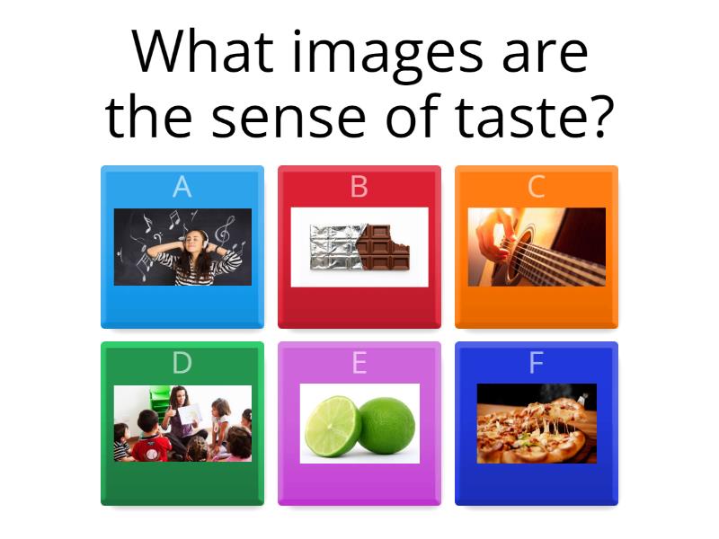 The 5 Senses - Quiz