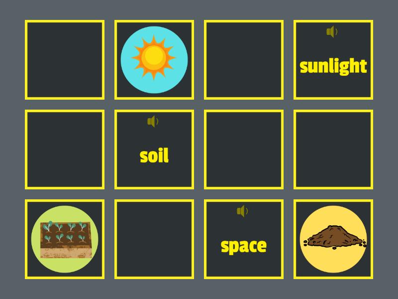 What plants need - Matching pairs