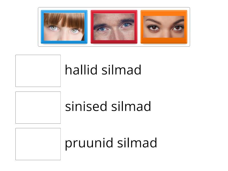 21.1 Mis värvi on silmad? - Match up