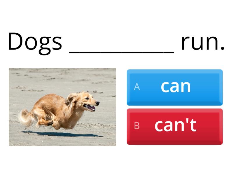 Unit 7 - Lesson 1: Grammar (can / can't) - Quiz