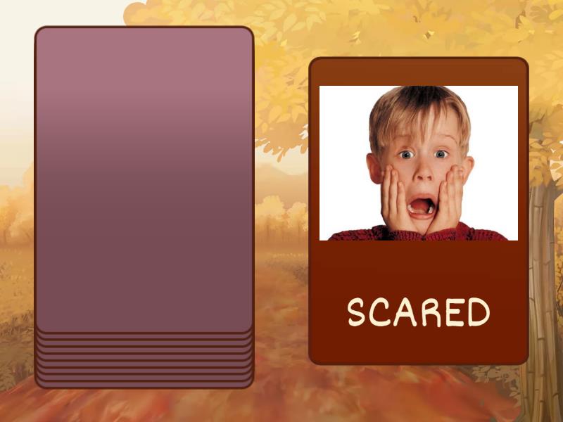 Pi3 / PP2 How do you feel / guessing game (1s with back to the board ...