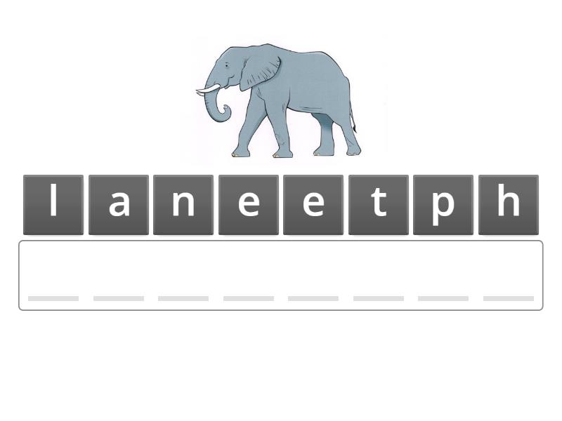 FF1 Unit 11 I like monkeys! - Anagrama