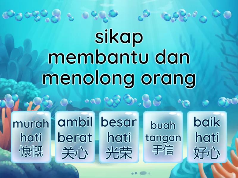 BM GERMINATOR STD 2 - Find the match